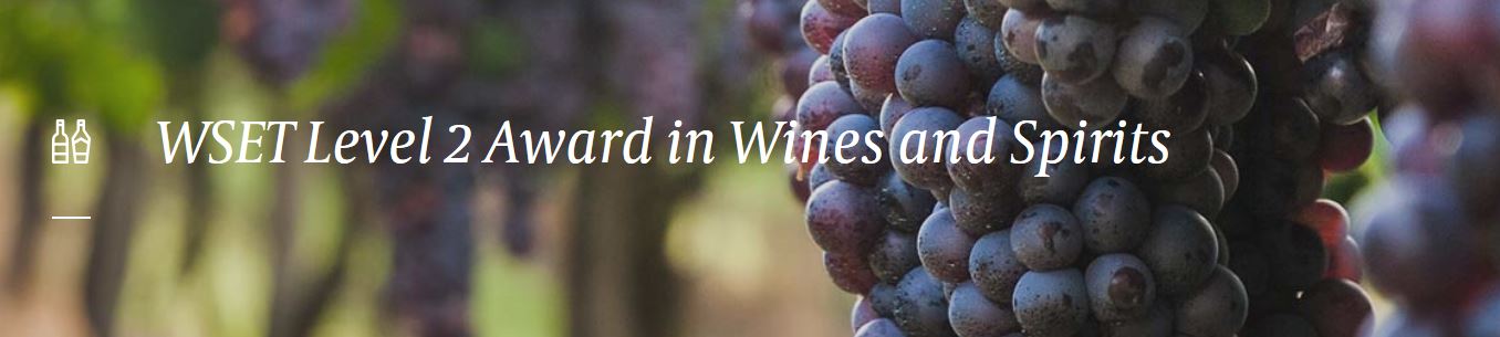 WSET Certification Courses in May 2018 | Caribbean Wine Club